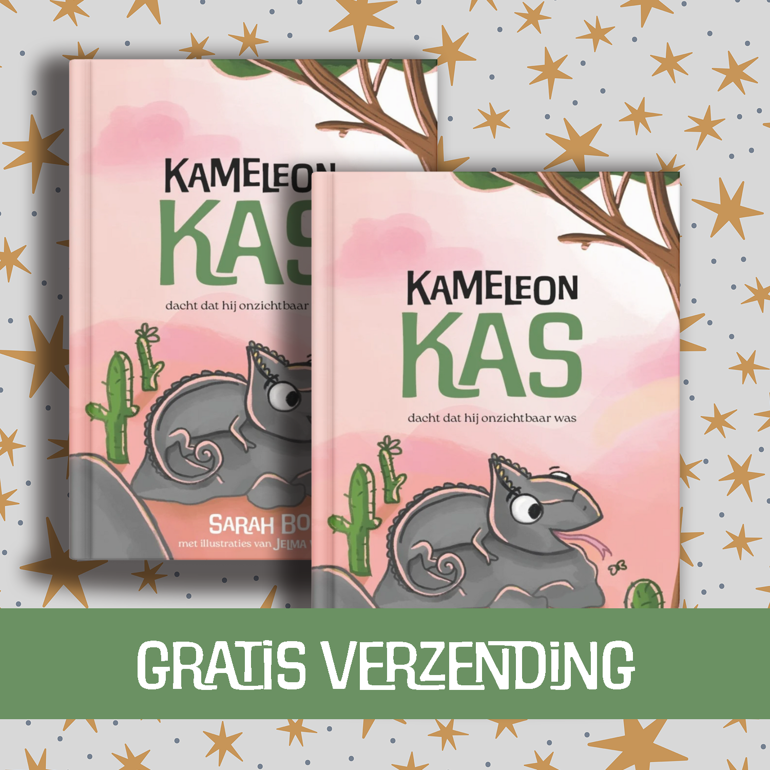 Sarah Rebecca - boek: Kameleon Kas
